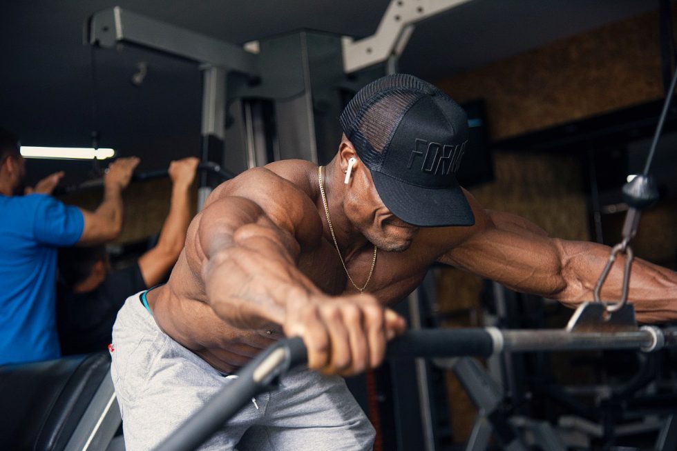 Gallery | FERNANDO CHALA